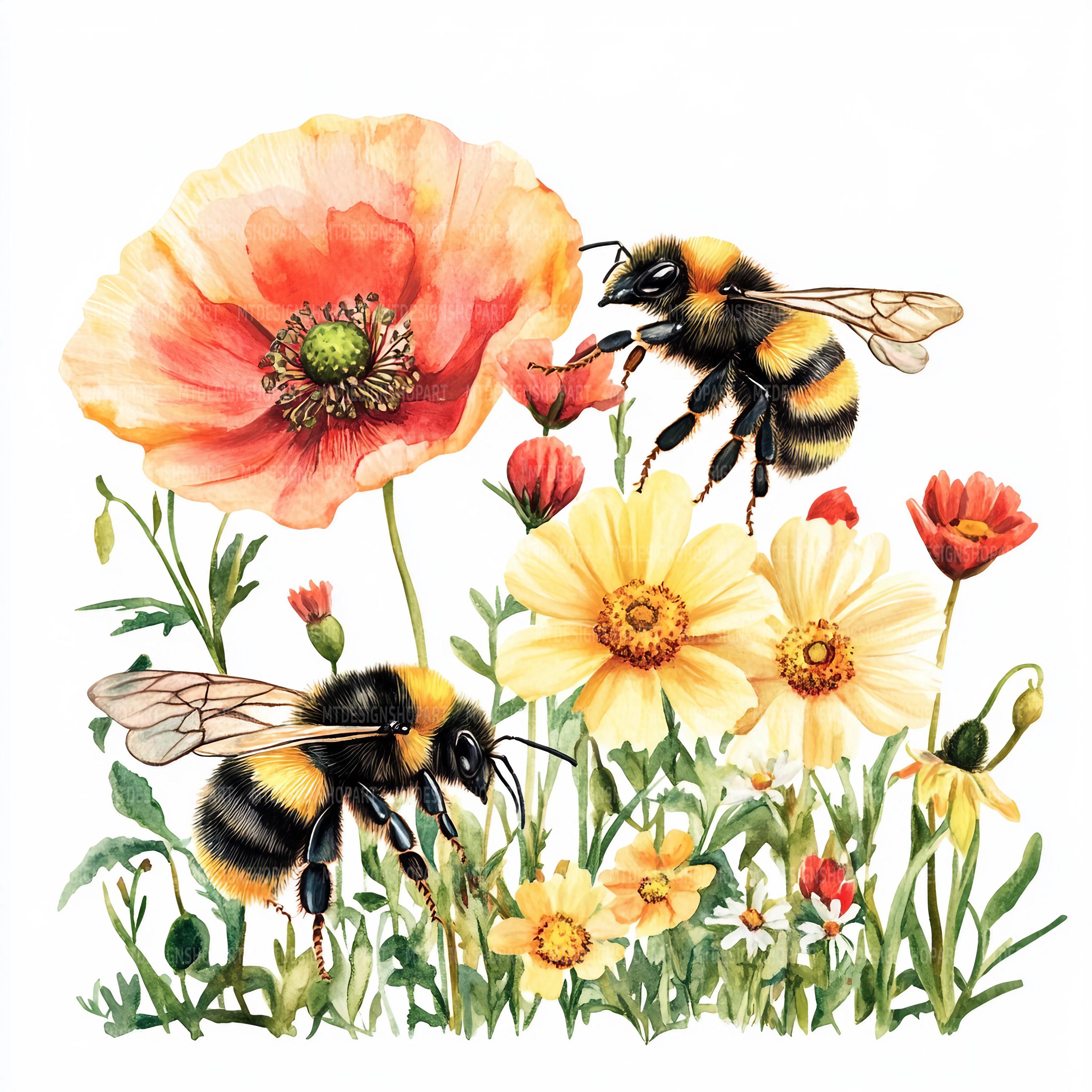 Watercolor Bees and Flowers Clipart: Floral Art, Paper Crafts (digital ...