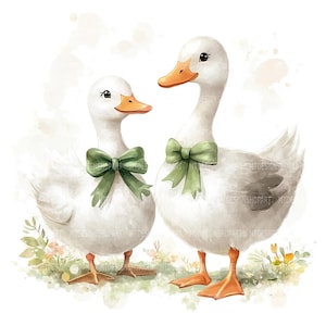 16 Cute Duck Clipart, Duck With Bow, Peacock Landscape, Printable ...