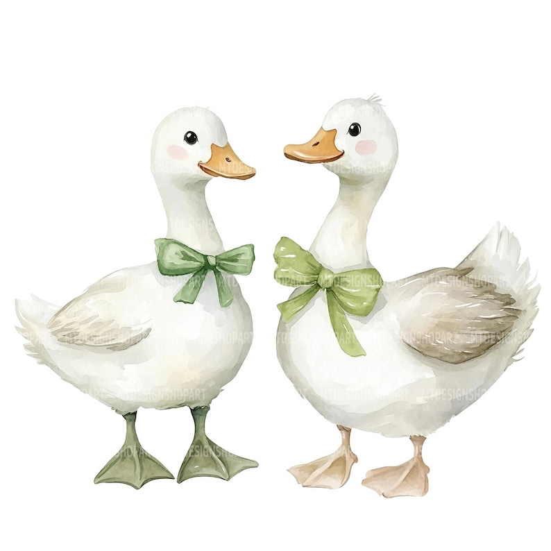 16 Cute Duck Clipart, Duck With Bow, Peacock Landscape, Printable ...