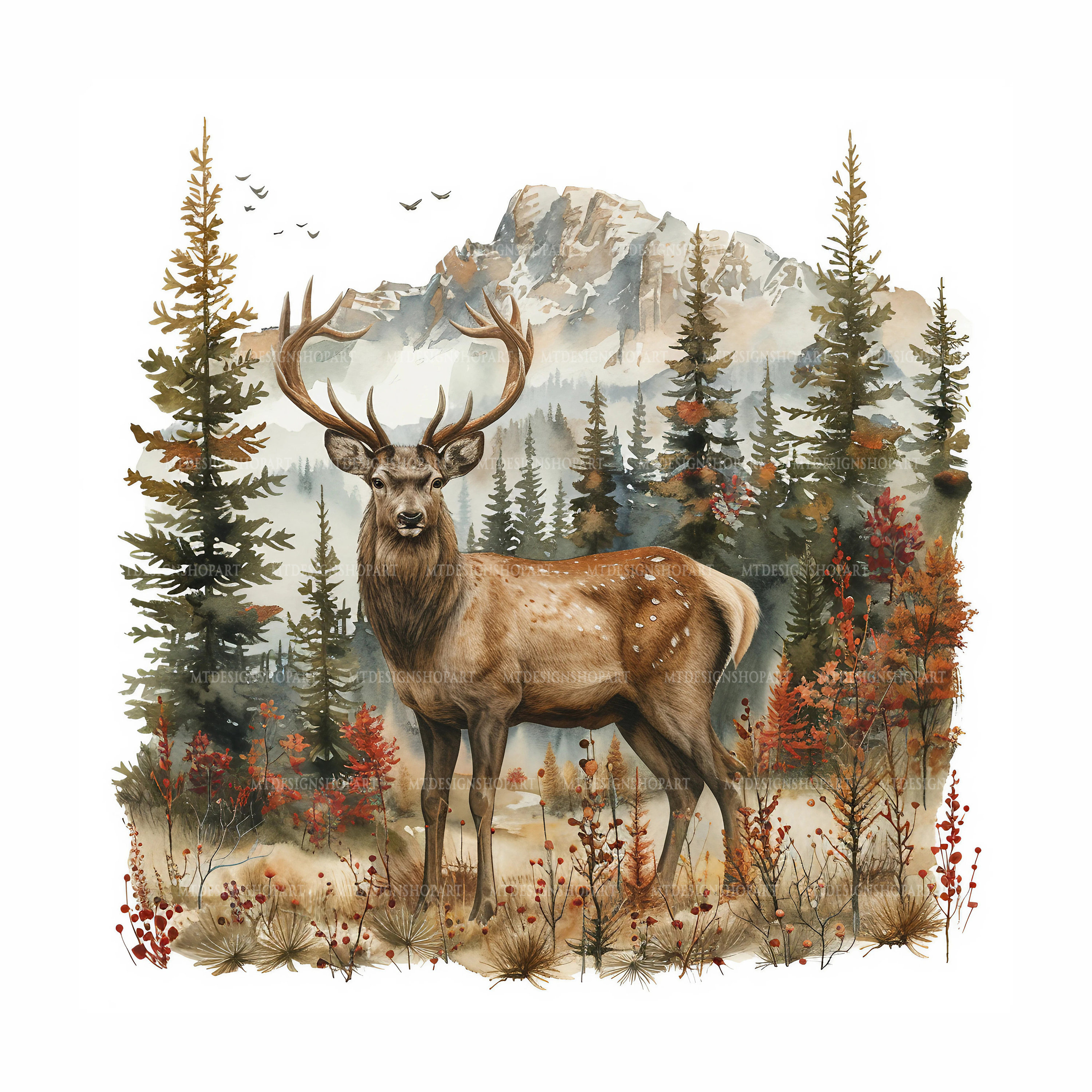 15 Deer Clipart, Printable Watercolor Clipart, Watercolor Deer Clipart ...