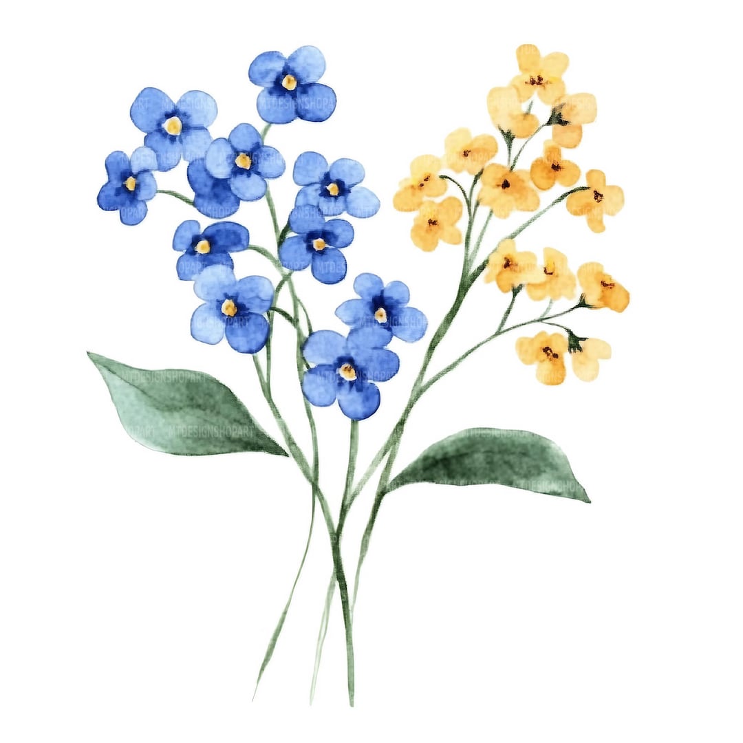 24 Forget Me Not Clipart, Blue and Yellow Flowers, , Printable ...