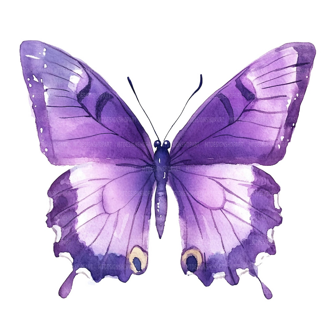 19 Purple Butterfly Clipart, Gold and Purple Butterflies , Printable ...