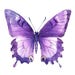 19 Purple Butterfly Clipart, Gold and Purple Butterflies , Printable ...