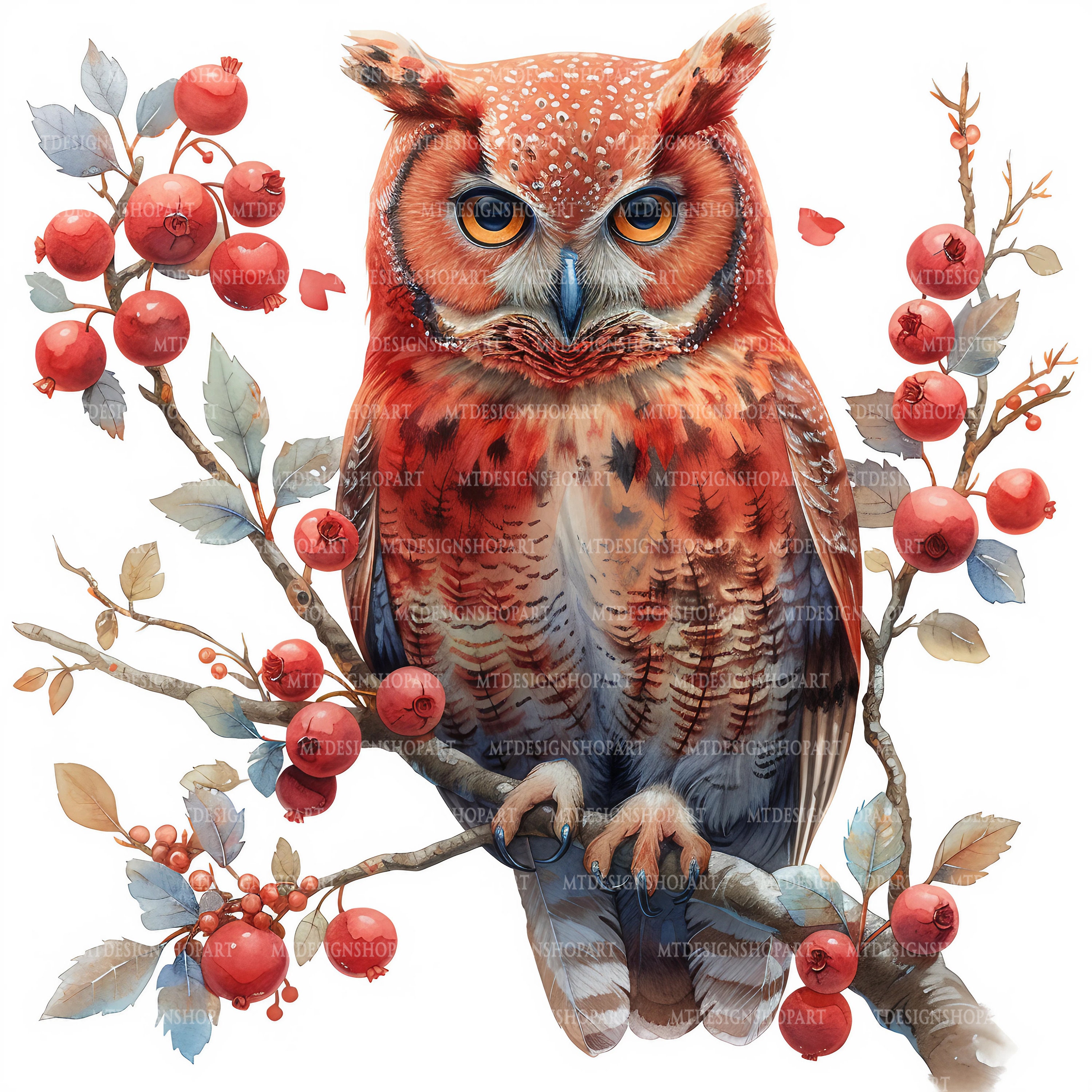15 Owl on the Branch, Printable Watercolor Clipart, Watercolor Owl ...