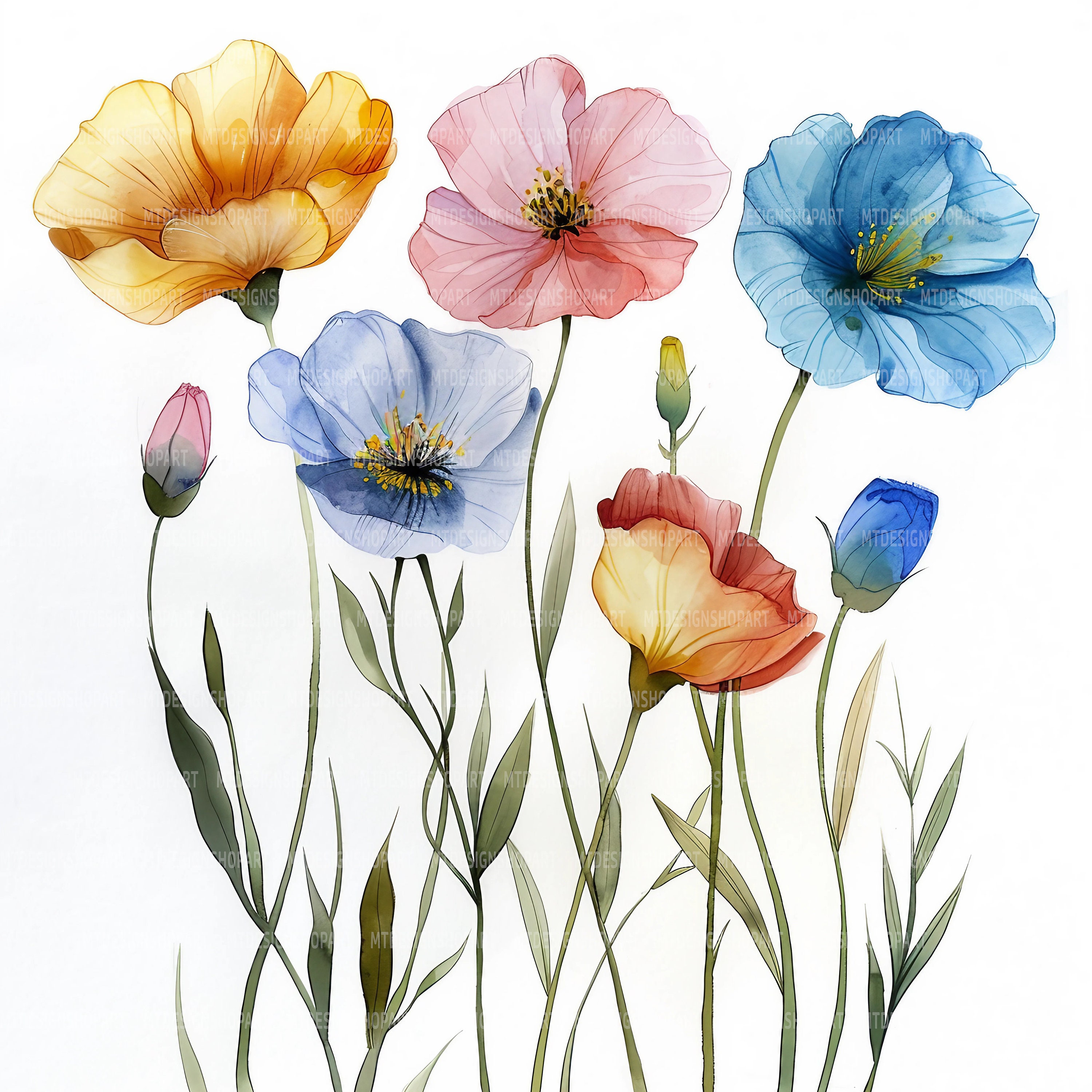 24 Various Flowers Clipart, Colorful Flowers Clipart, Printable ...