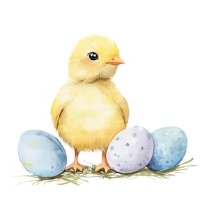15 Easter Chick Clipart, Chick and Eggs Clipart, Printable Watercolor ...