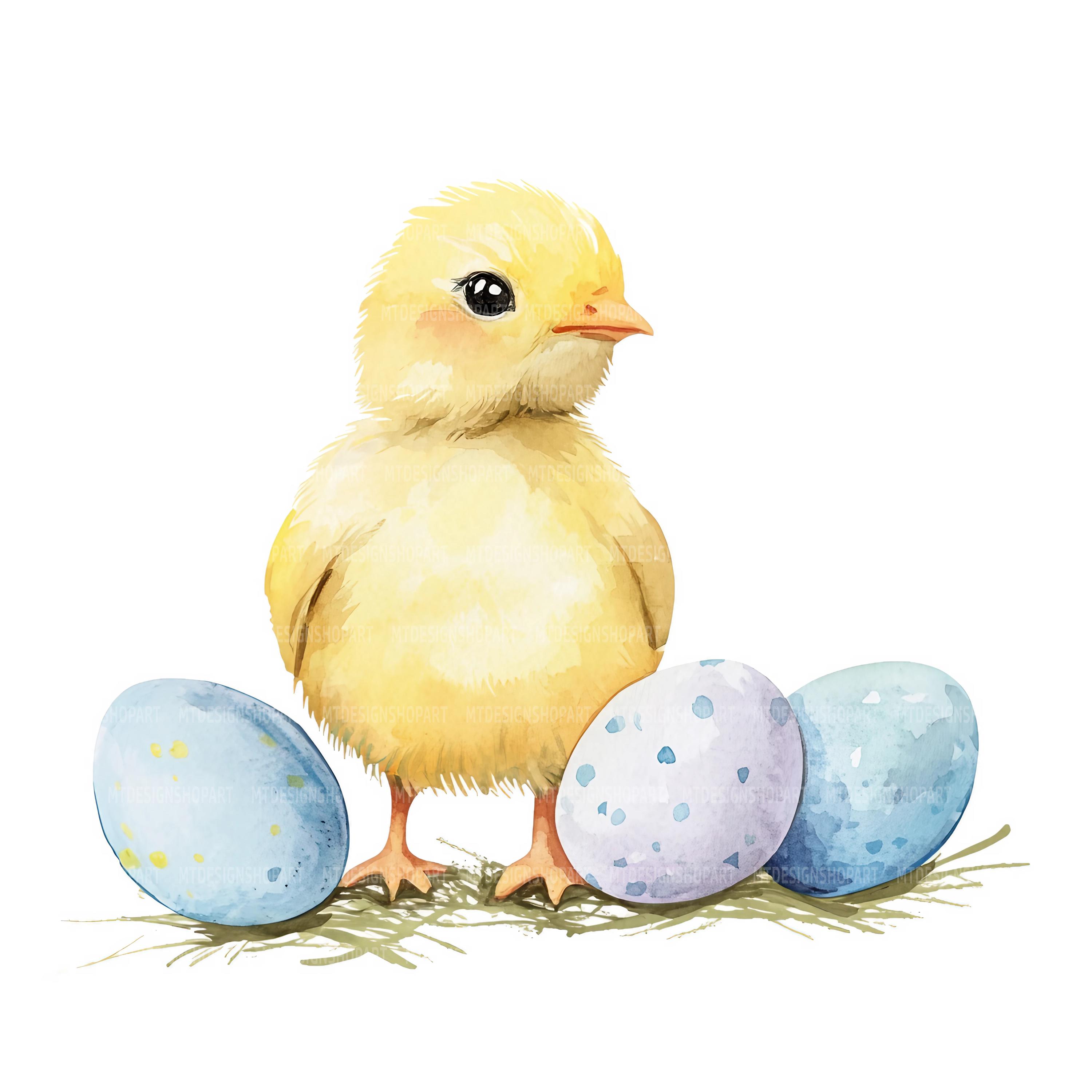 15 Easter Chick Clipart, Chick and Eggs Clipart, Printable Watercolor ...