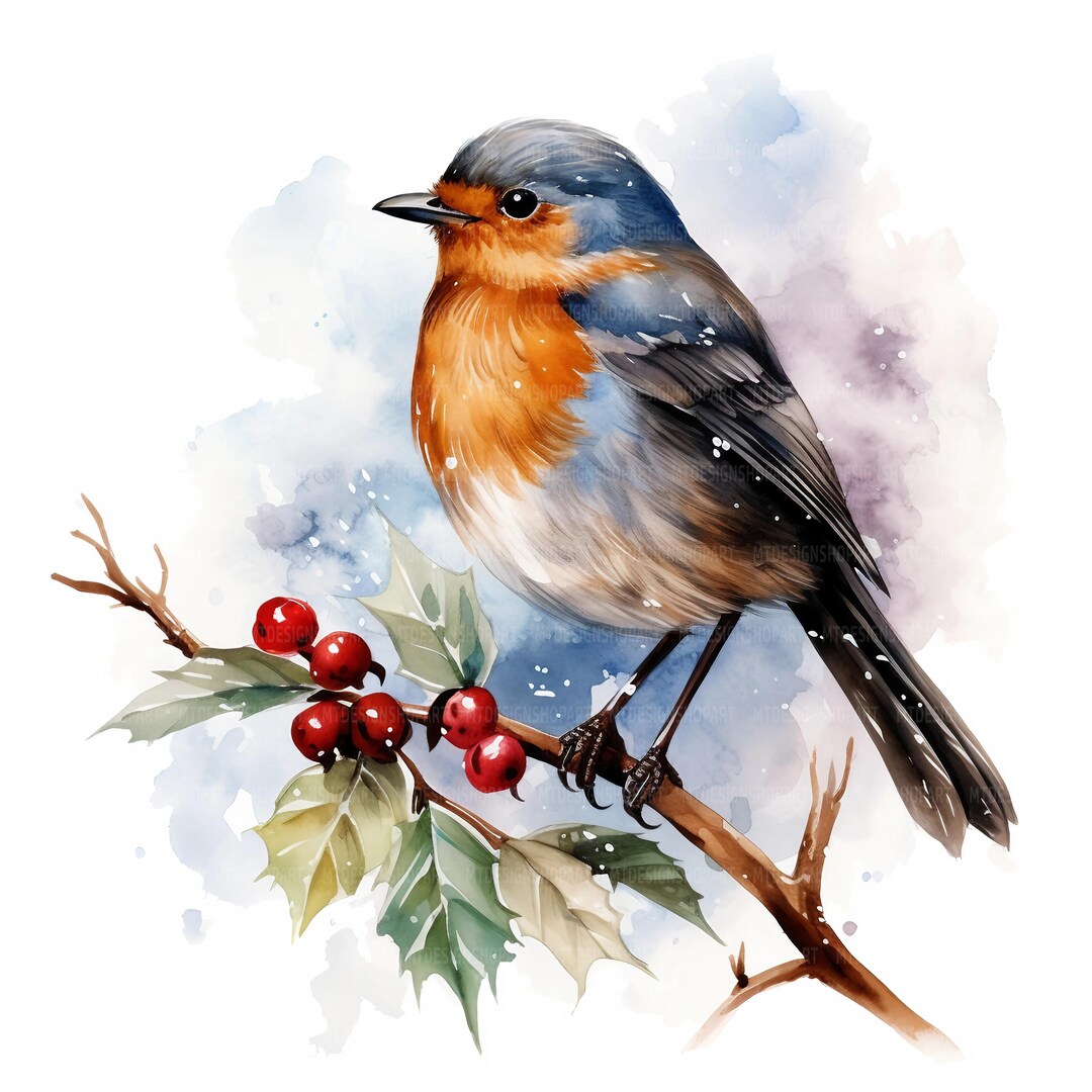 16 Christmas Robin Clipart, Christmas Bird, Printable Watercolor ...