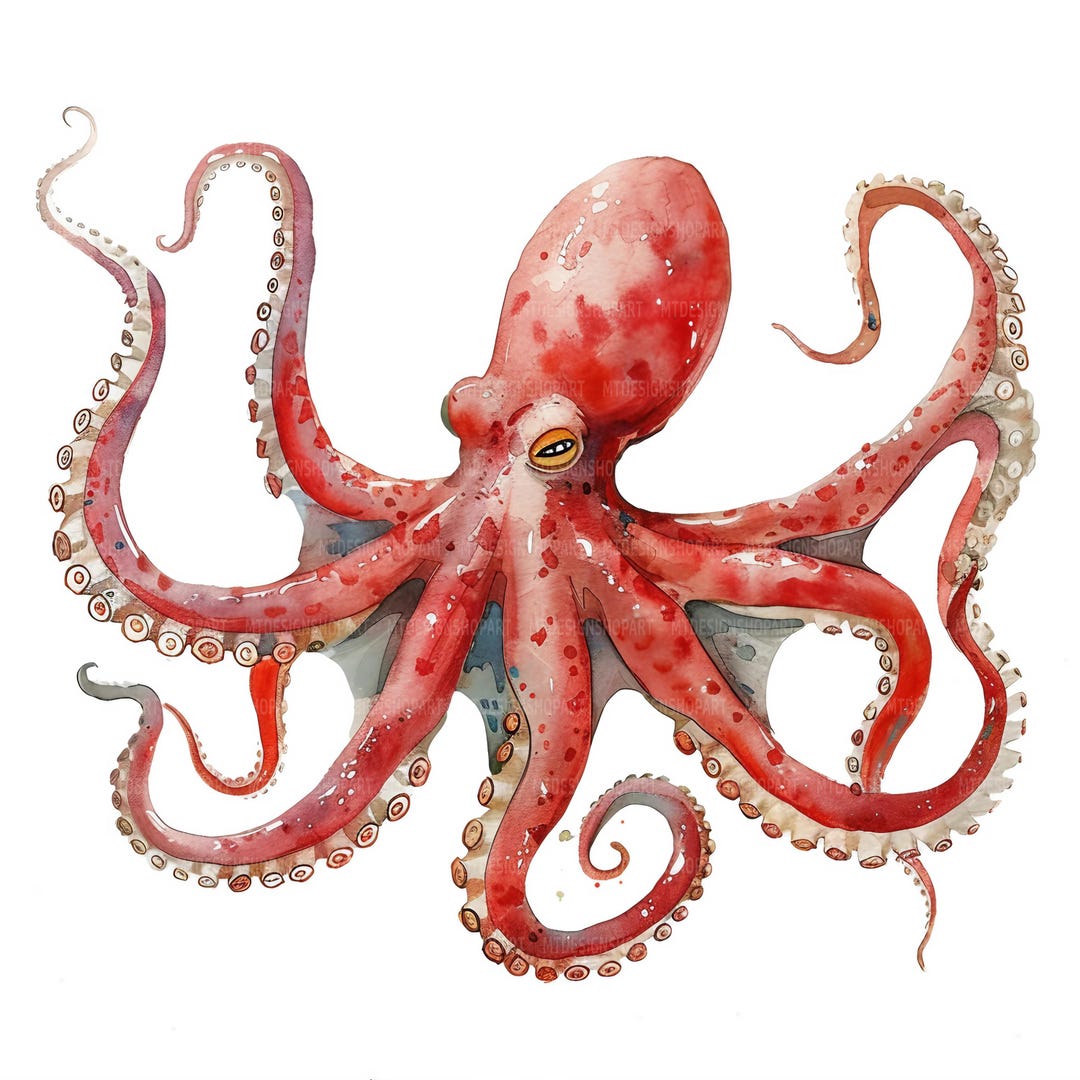 16 Red Octopus Clipart, Octopus Clipart, Printable Watercolor Clipart ...