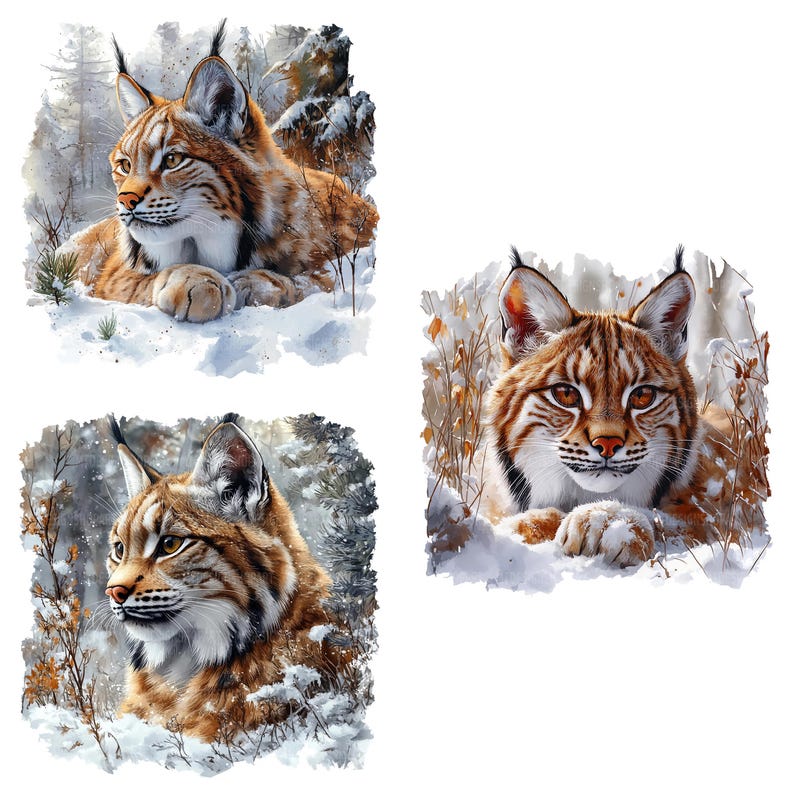 12 Lynx in Forest Clipart, Lynx Head Winter, Printable Watercolor ...