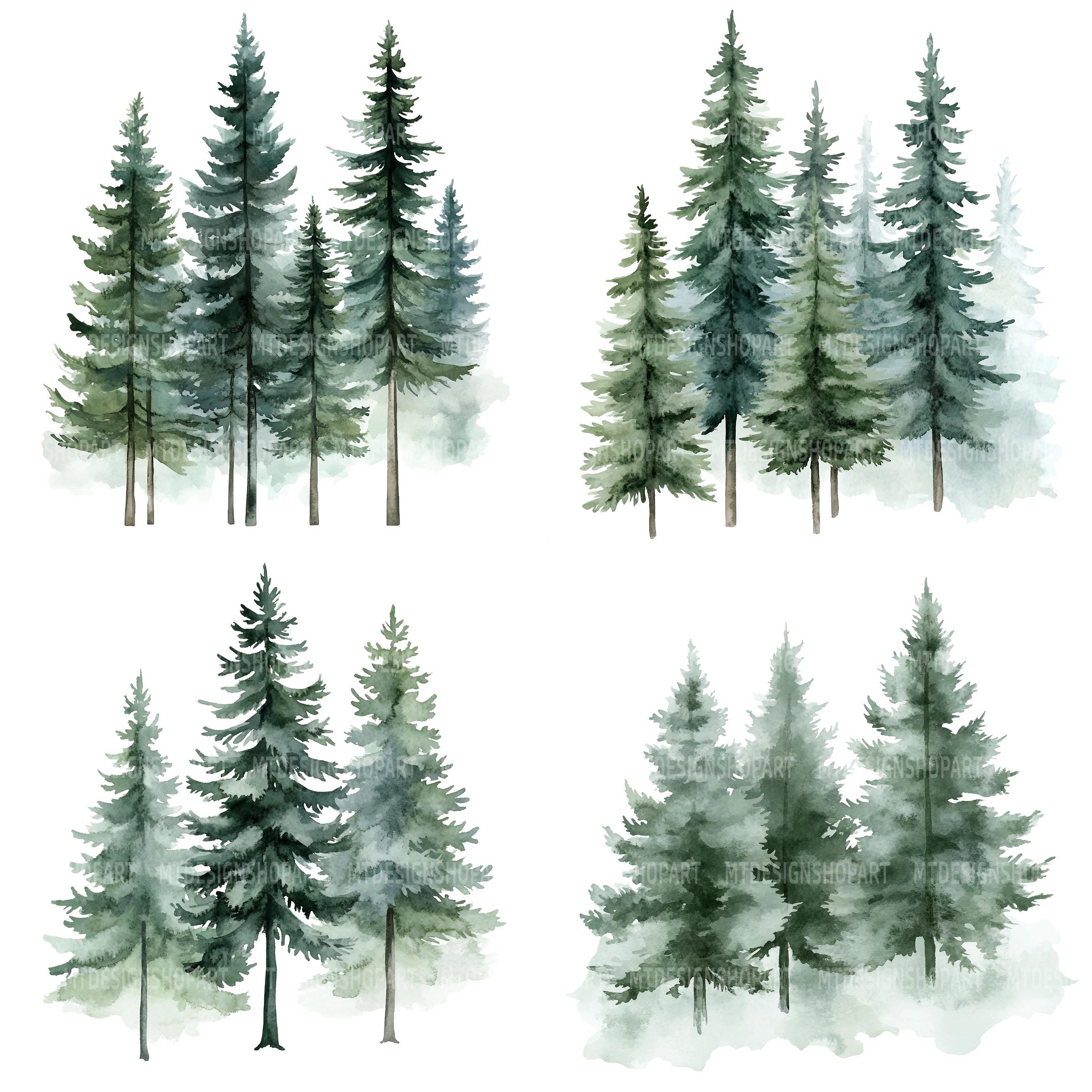 20 Conifer Tree Clipart, Forest Trees Clipart, Printable Watercolor ...