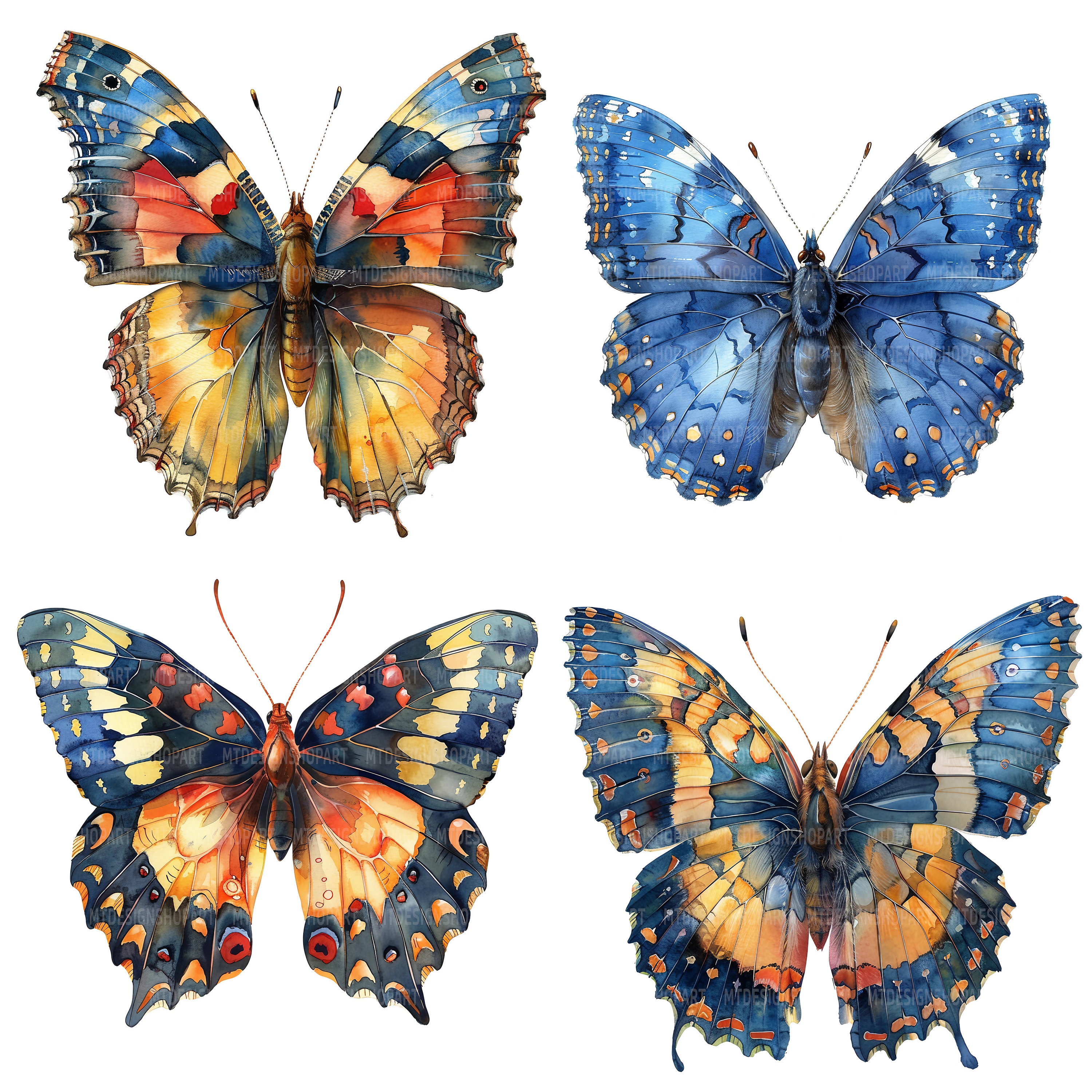 18 Realistic Butterfly Clipart, Butterflies Clipart, Printable ...