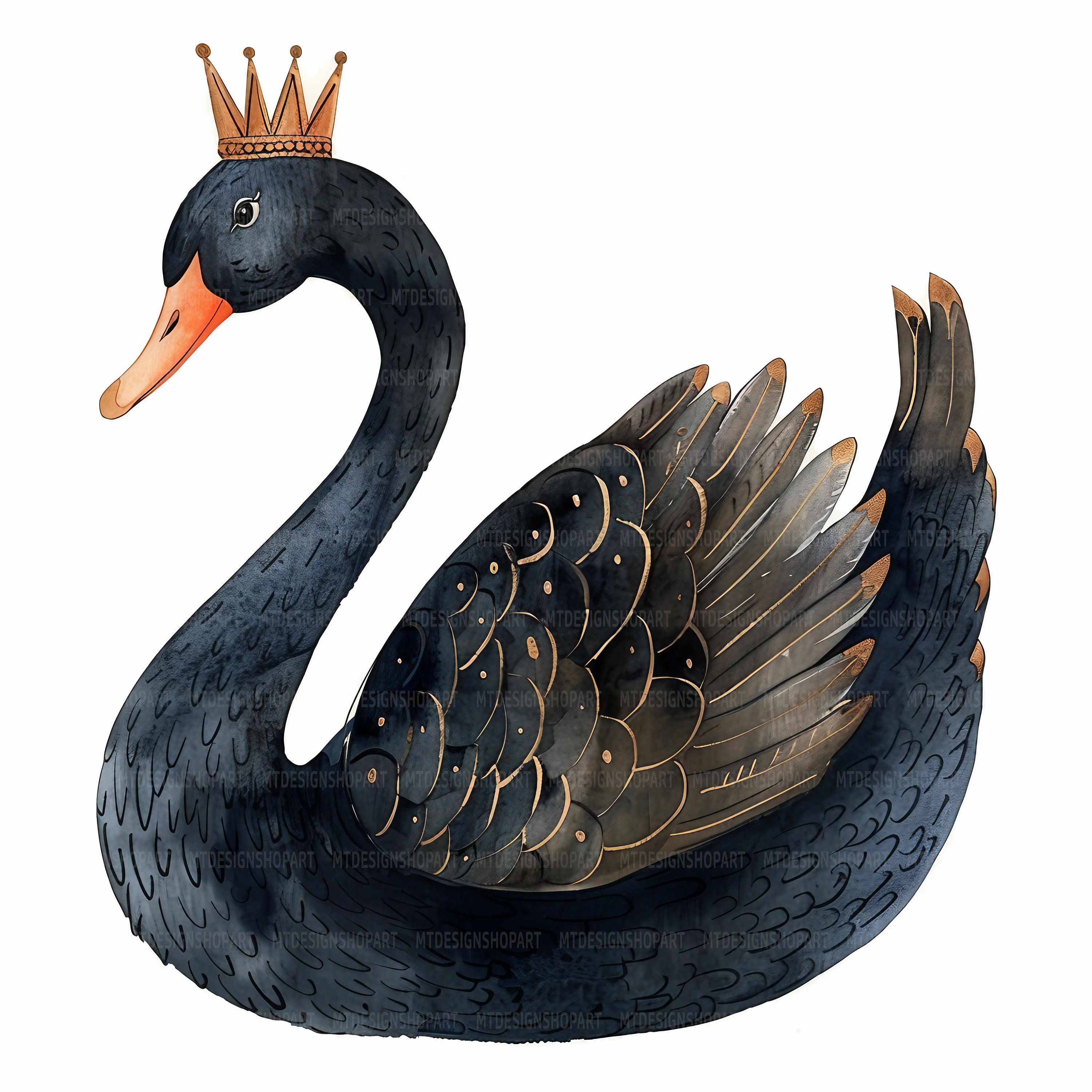 13 Black Swan Clipart, Royal Swans, Printable Watercolor Clipart, Paper ...