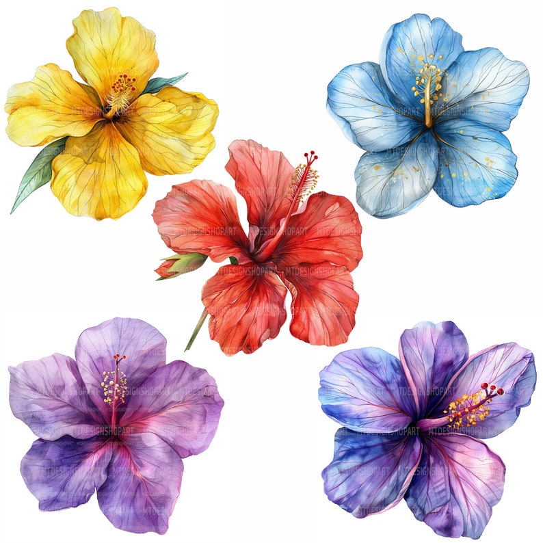 17 Tropical Flowers Clipart, Flowers Print, Printable Watercolor ...