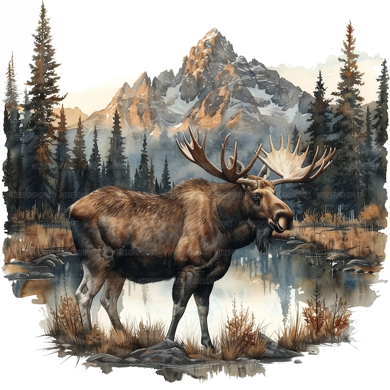 13 Moose Clipart, Moose Drawing Clipart, Moose, Printable Watercolor ...