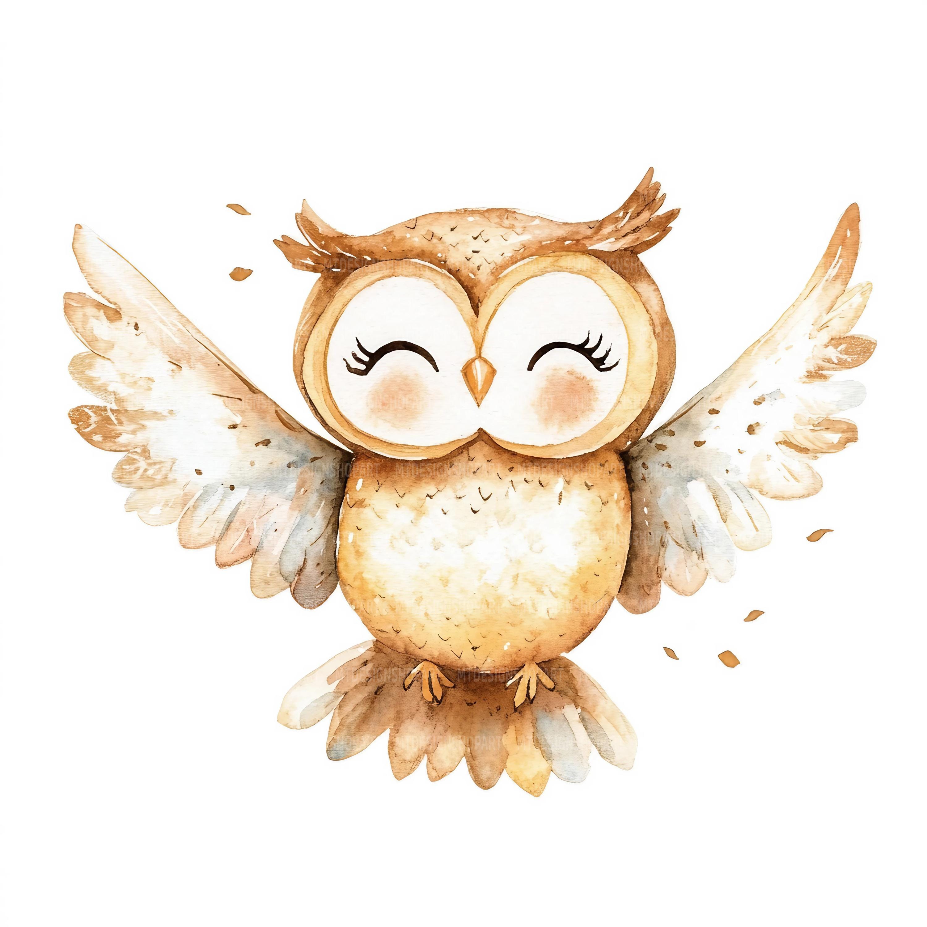 16 niedliche Baby Eule Clipart, Baby Eule Clipart, druckbare Aquarell ...