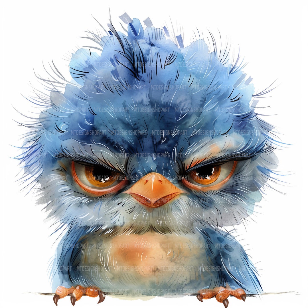 18 Grumpy Birds Clipart, Birds Clipart, Funny Birds, Watercolor Clipart ...