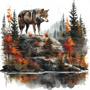 15 Wolf on Rock Clipart, Printable Watercolor Clipart, Paper Crafts ...