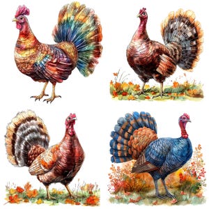 19 Turkey Clipart, Thanksgiving Clipart, Printable Watercolor Clipart ...