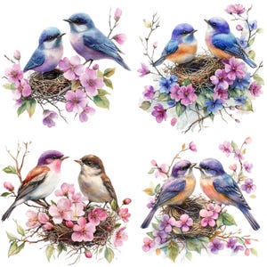 19 Spring Birds Clipart, Bird Nest Clipart, Floral Bird, Printable ...