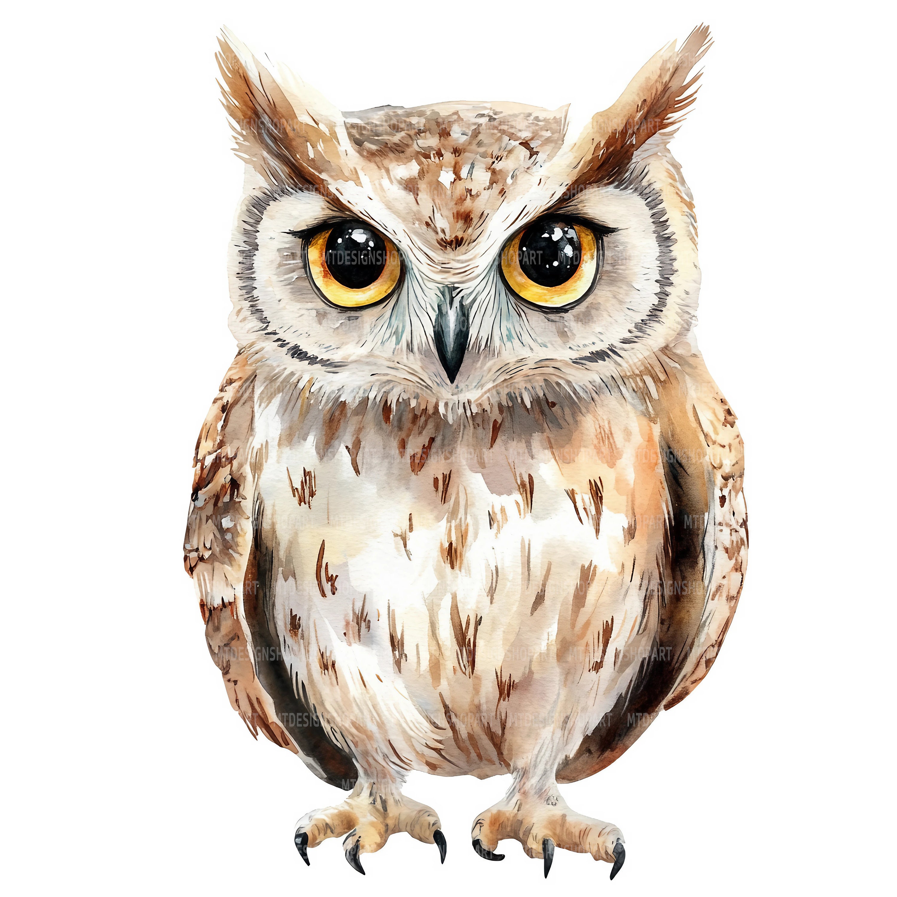 16 Cute Owl Clipart, Hyperrealistic Cute Owl, Printable Watercolor ...