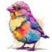 18 Crazy Bird Clipart, Whimsical Birds Clipart, Funny Birds, Watercolor ...