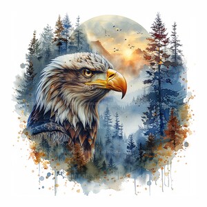 Eagle Clipart, Bald Eagle Head, Printable Watercolor Clipart, 13 High ...