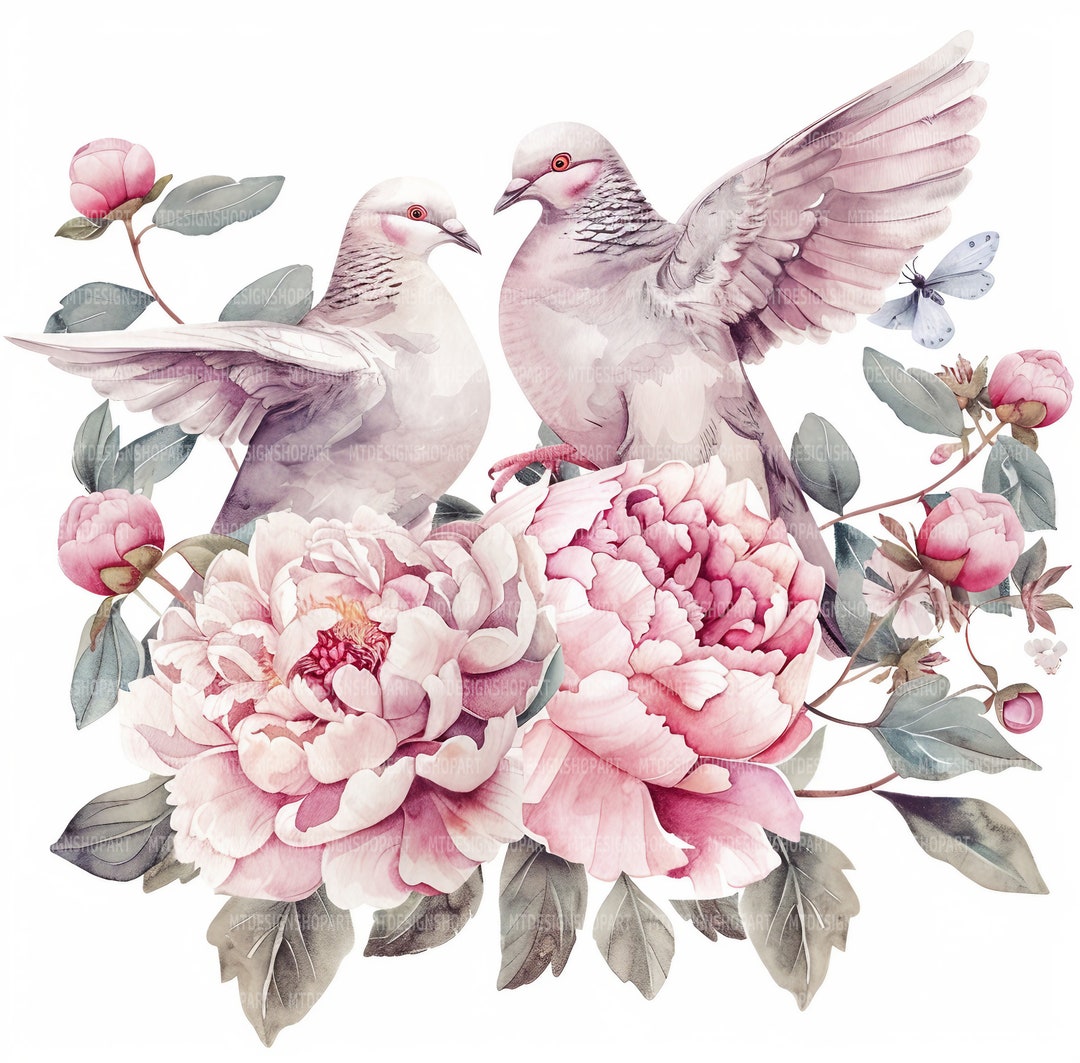 16 Imágenes Prediseñadas de Palomas, Imágenes Prediseñadas de Palomas ...