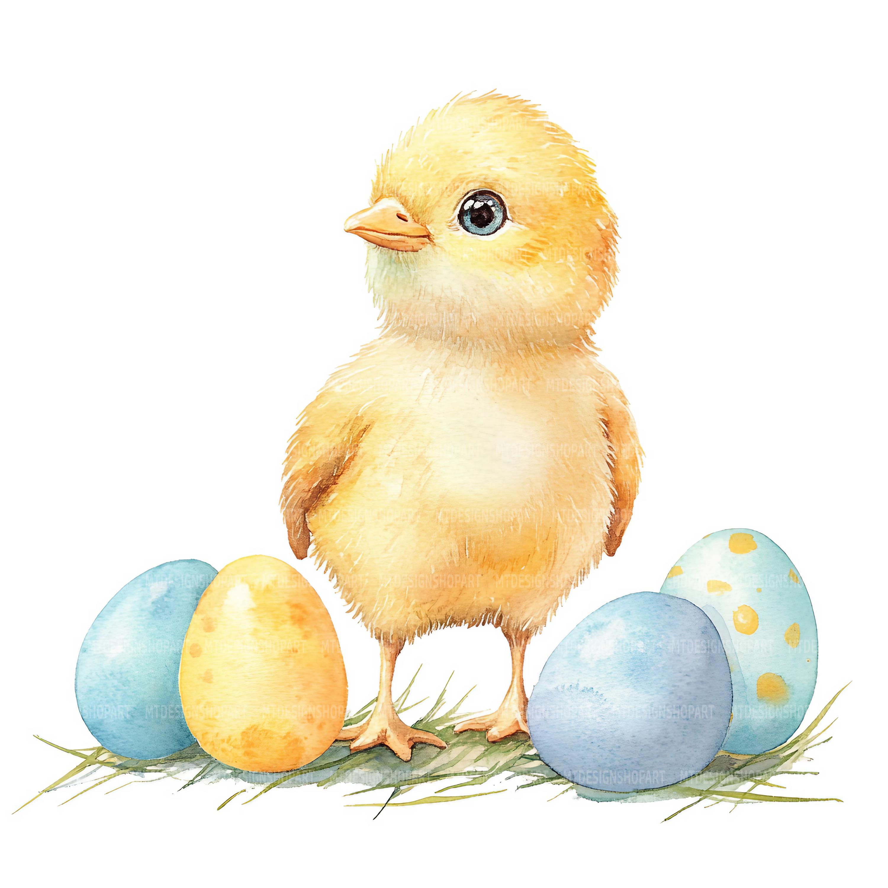 15 Easter Chick Clipart, Chick and Eggs Clipart, Printable Watercolor ...