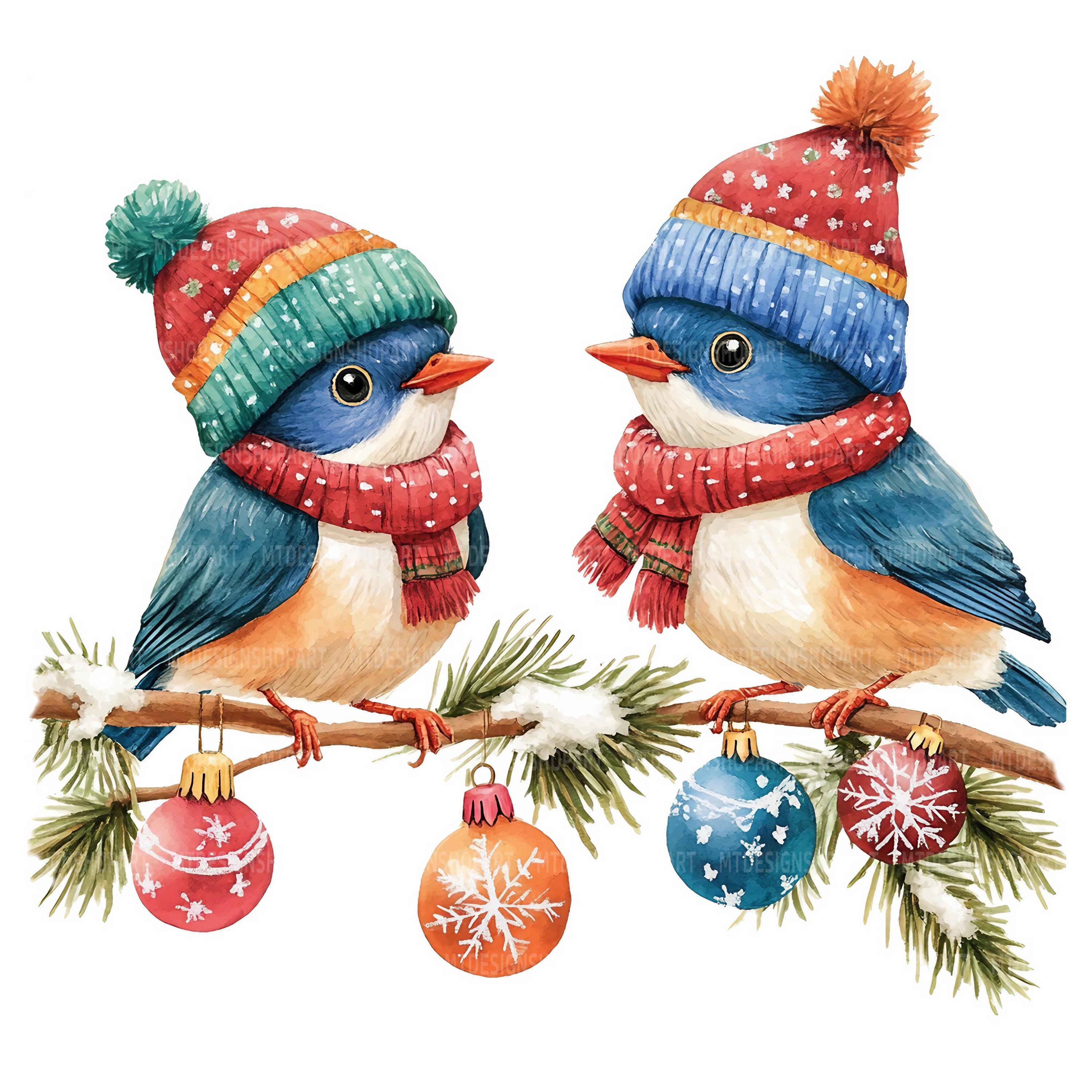22 Christmas Birds Clipart, Festive Birds on Branch, Printable ...