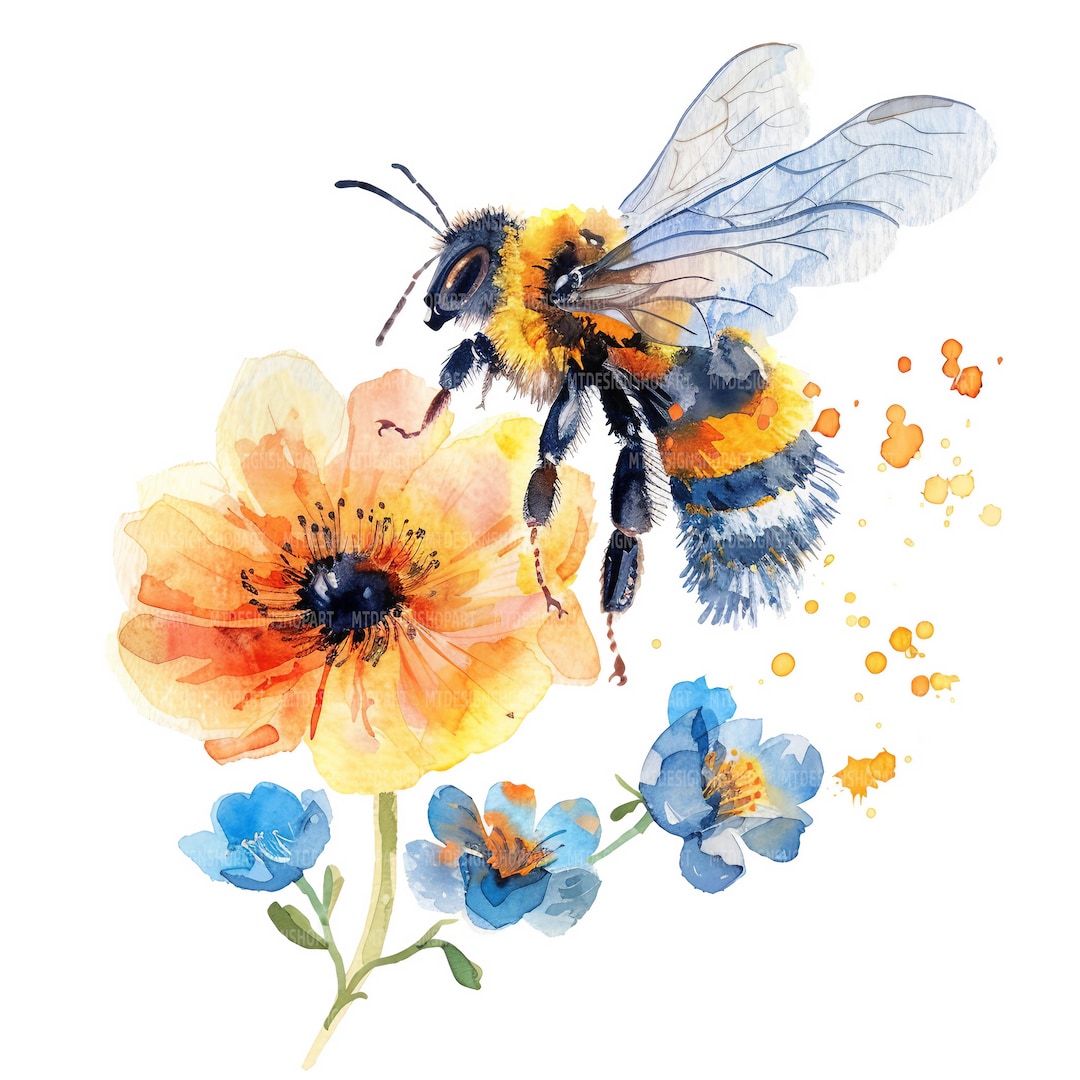 24 Bees in Flowers Clipart, Bees Clipart, Printable Watercolor Clipart ...