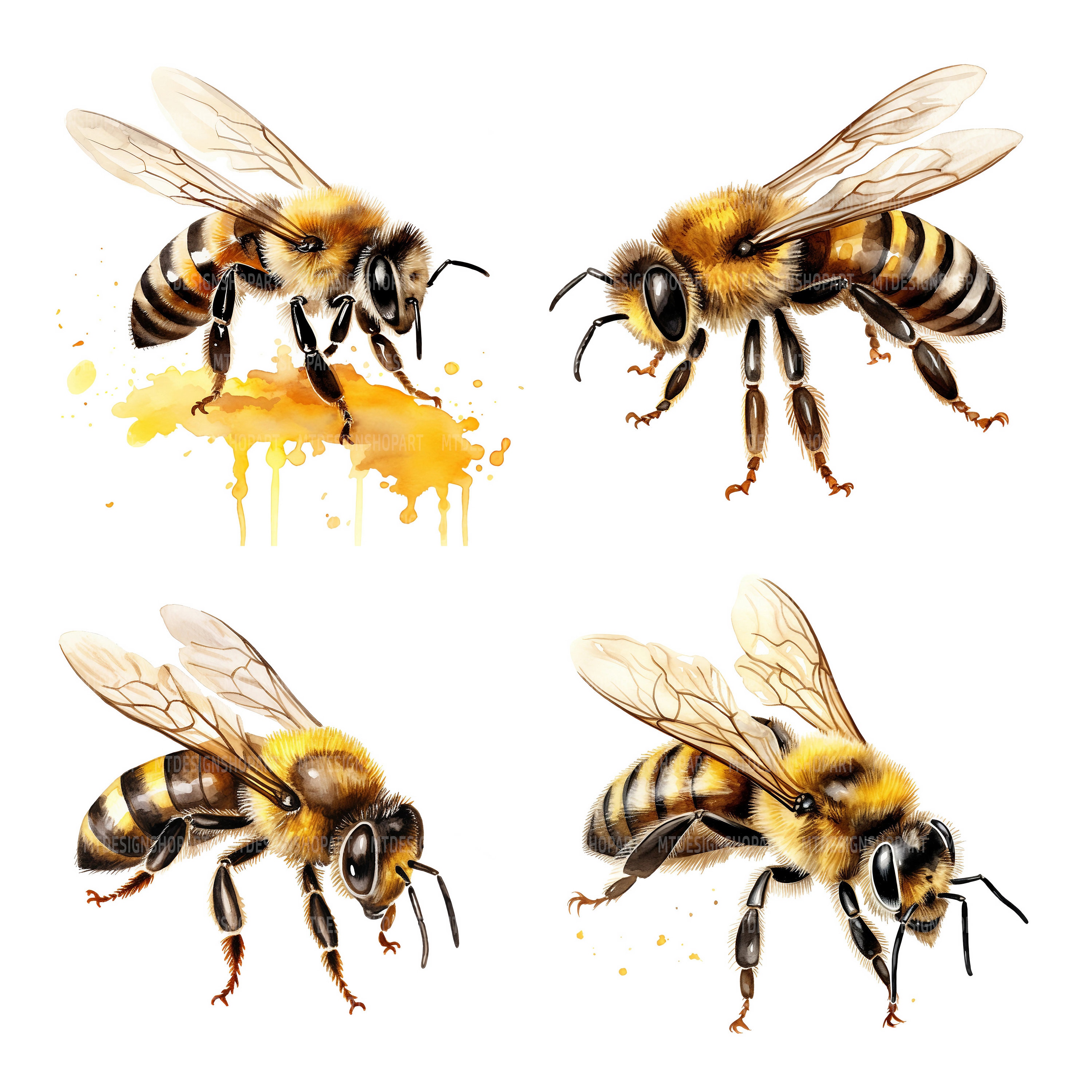 19 Watercolor Bee Clipart, Adorable Bee Print, Printable Watercolor ...
