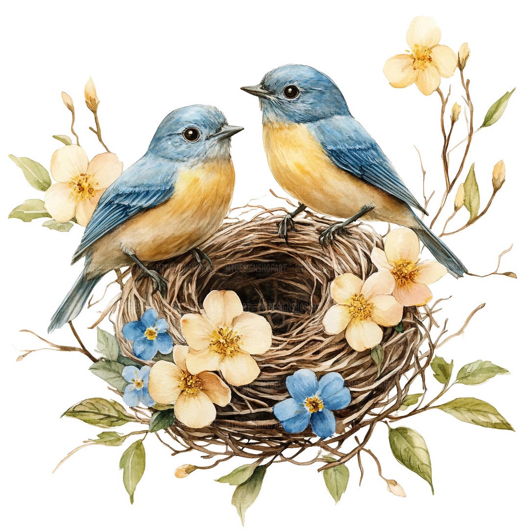 16 Spring Bird Nest Clipart, Blue Bird Clipart, Printable Watercolor ...