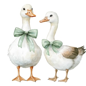 16 Cute Duck Clipart, Duck With Bow, Peacock Landscape, Printable ...