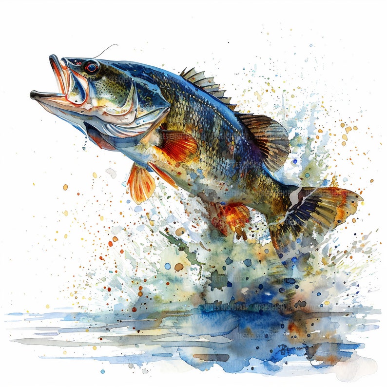 17 Black Bass Fish Clipart, Fish Clipart, Bass Fish, Printable ...