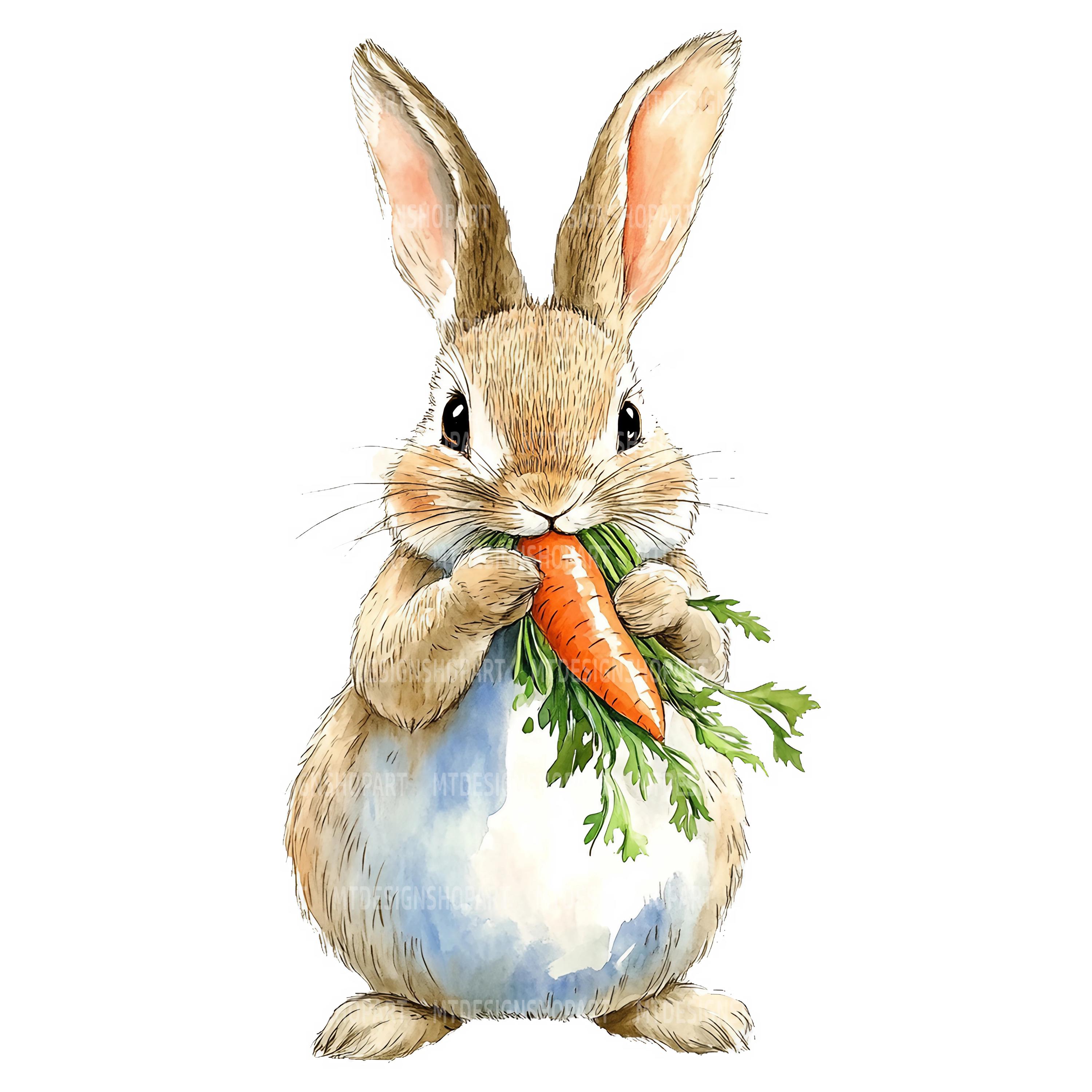 Bunny & Carrot Watercolor Clipart: Paper Crafts, Junk Journals (digital ...