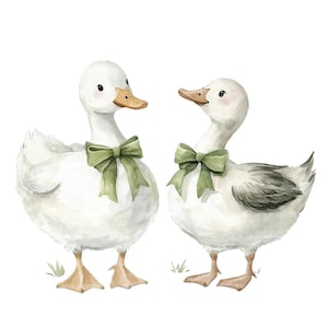 16 Cute Duck Clipart, Duck With Bow, Peacock Landscape, Printable ...