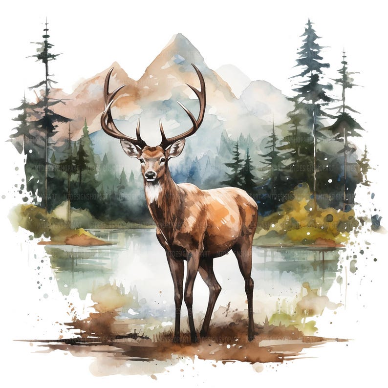 Watercolor Deer Clipart: Forest Animal Jpgs (digital Download) - Etsy