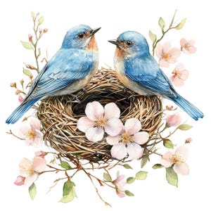 16 Spring Bird Nest Clipart, Blue Bird Clipart, Printable Watercolor ...