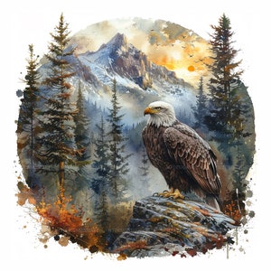 Eagle Clipart, Bald Eagle, Printable Watercolor Clipart, 15 High ...