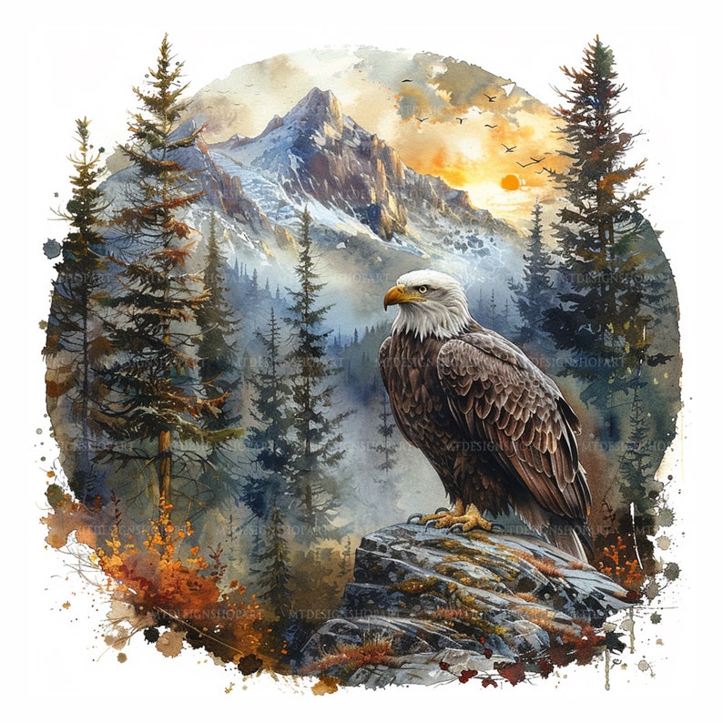 Eagle Clipart, Bald Eagle, Printable Watercolor Clipart, 15 High ...