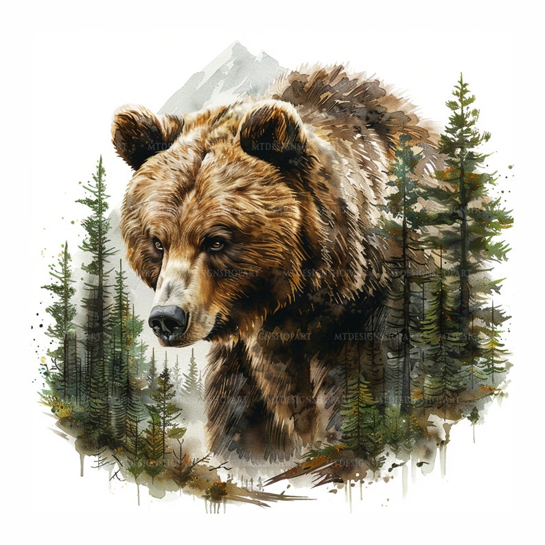 14 Bear Clipart, Printable Watercolor Clipart, Watercolor Bear Clipart ...