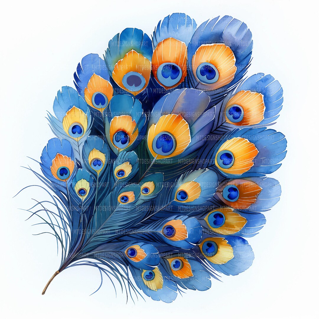 16 Peacock Feather Clipart, Peacock Feather, Printable Watercolor ...