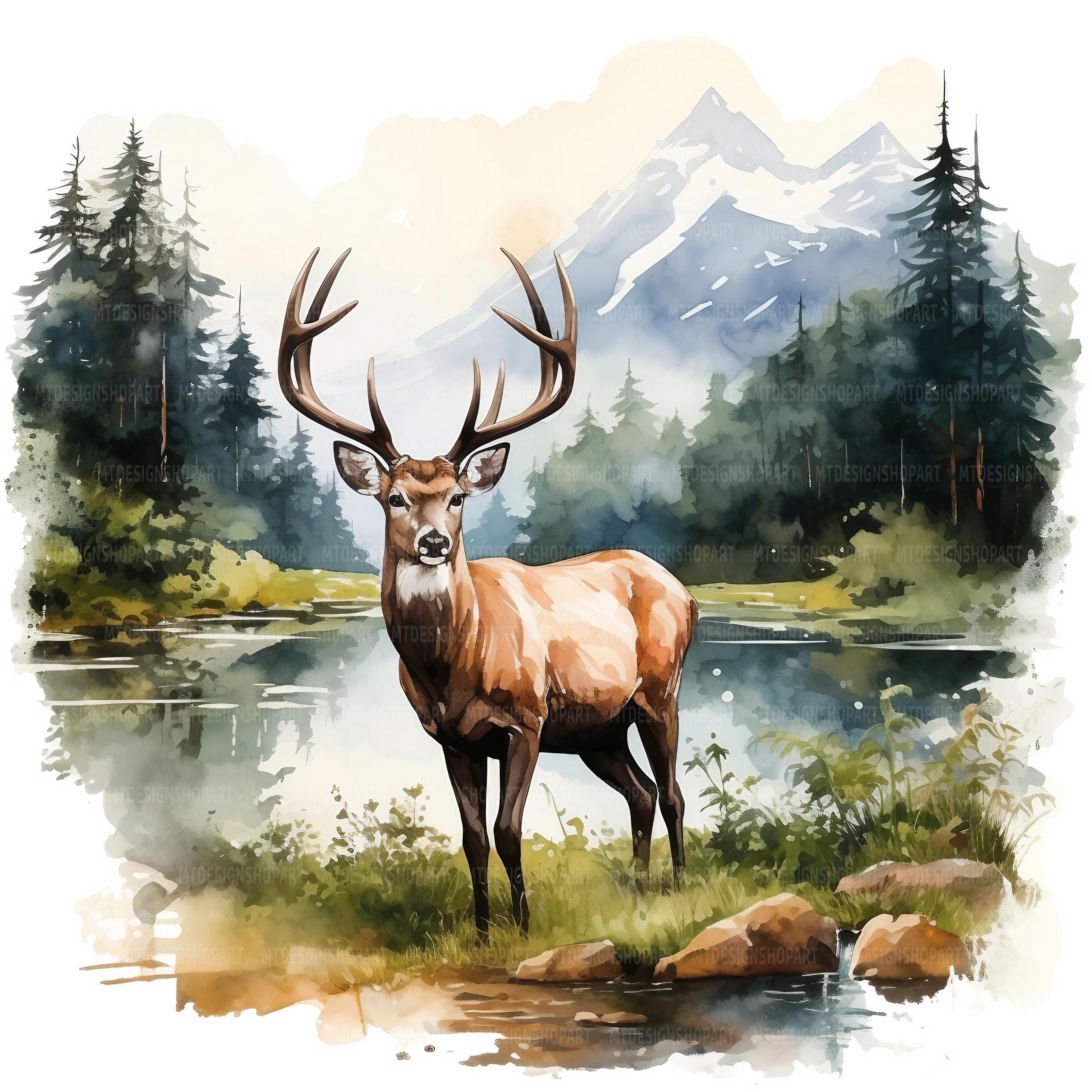Watercolor Deer Clipart: Forest Animal Jpgs (digital Download) - Etsy