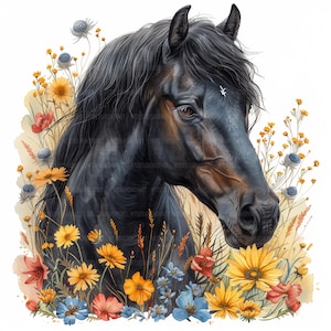 12 Black Horses Clipart, Horse Clipart, Watercolor Clipart, Paper Craft ...