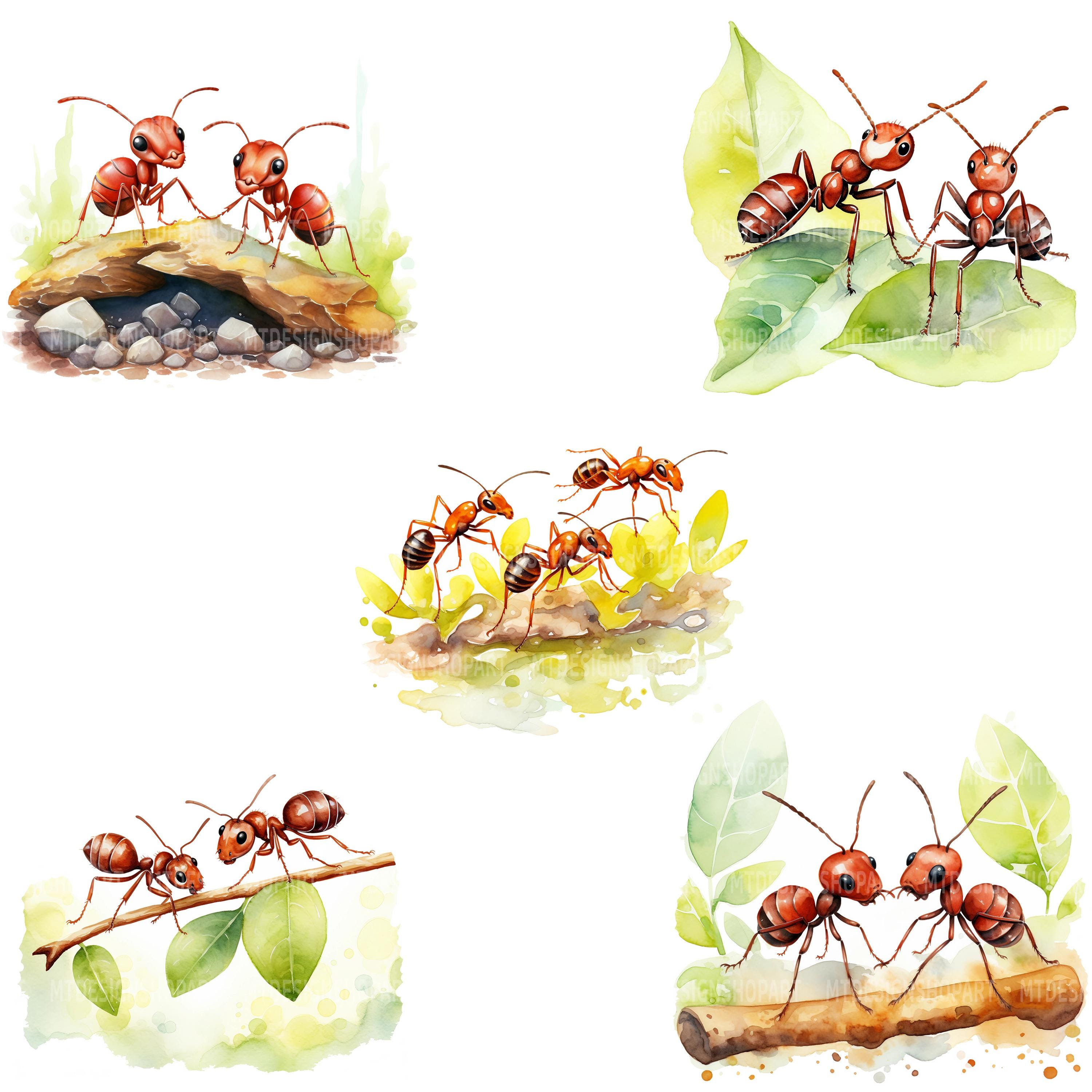 20 Cute Ants Clipart, Ant Clip Art, Printable Watercolor Clipart, Paper ...