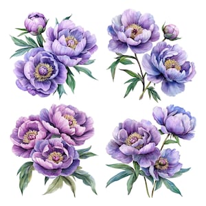 25 Purple Peonies Clipart, Purple Flowers, Printable Watercolor Clipart ...