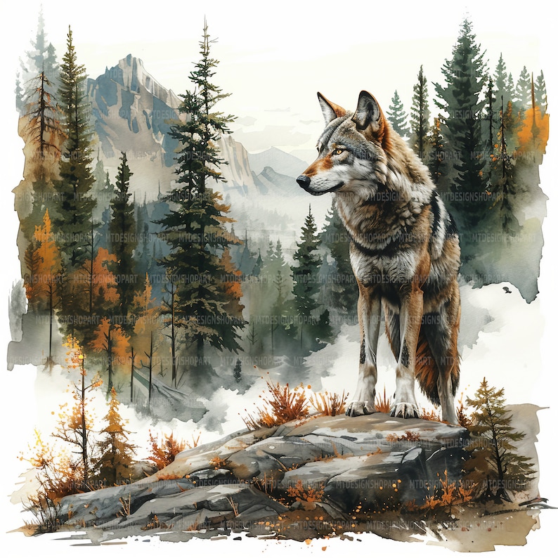 15 Wolf on Rock Clipart, Printable Watercolor Clipart, Paper Crafts ...