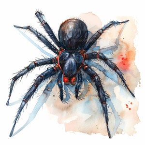 Halloween Spider Watercolor Clipart: Paper Craft Jpgs (digital Download ...