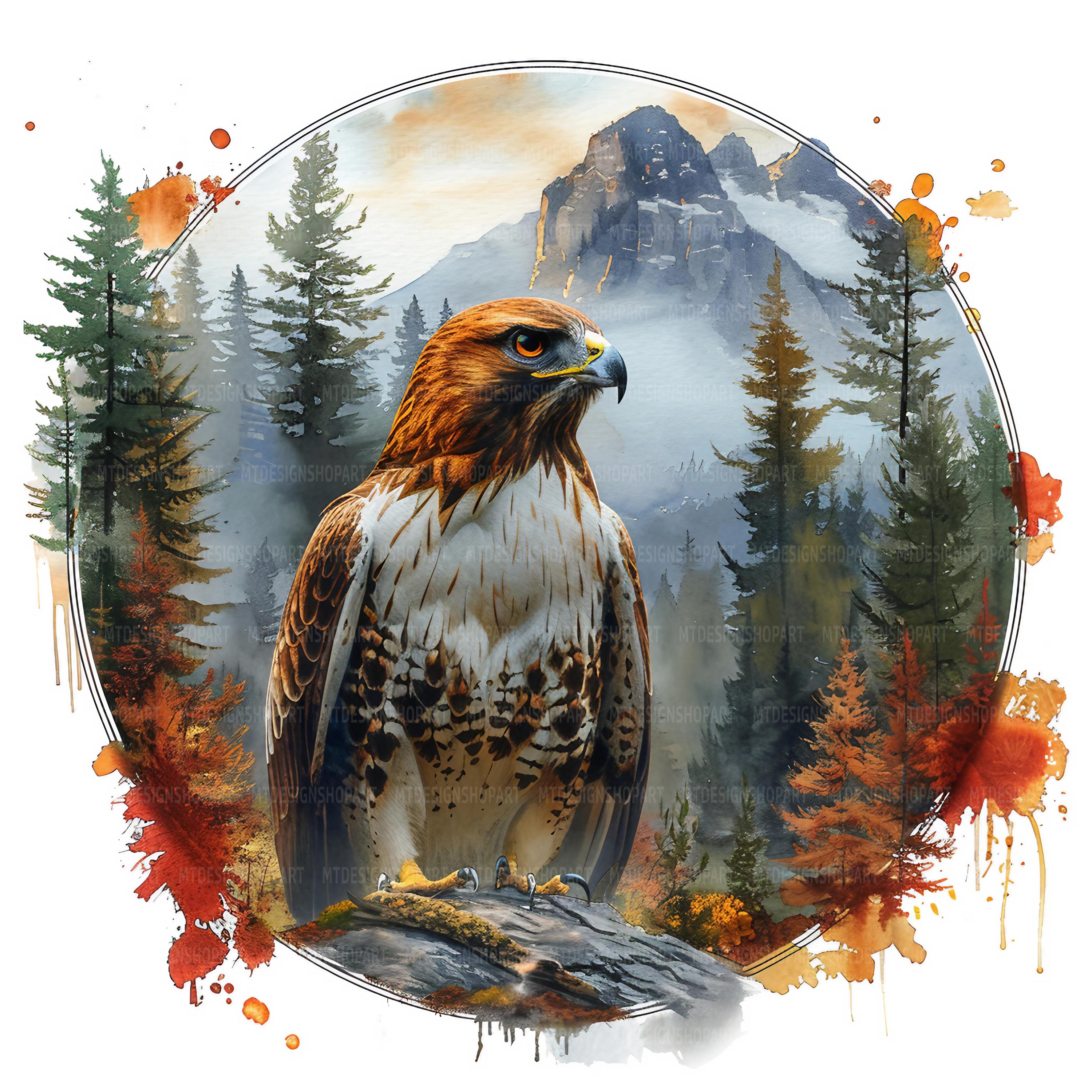 11 Watercolor Hawk Clipart, JPG, Printable Bird Art, Junk Journal ...